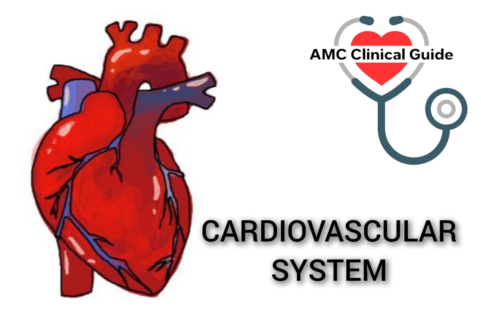 AMC Clinical Guide-Home